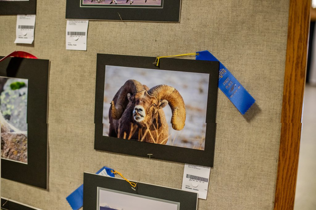 Competitive - Big Sky Country State Fair